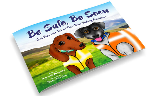 Be Safe, Be Seen Book - William Bee